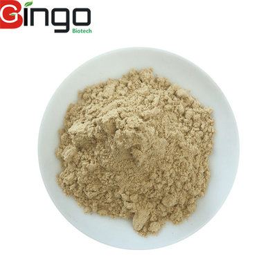 bitter melon extract powder 10% can be usedas nutritional supplement Free Sampler supplier