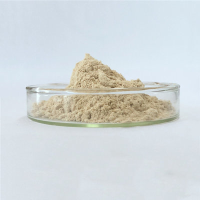 bitter melon extract powder 10% can be usedas nutritional supplement Free Sampler supplier
