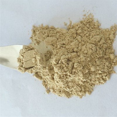 bitter melon extract powder 10% can be usedas nutritional supplement Free Sampler supplier