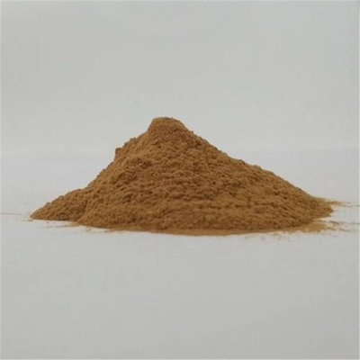 Supply nice quality dandelion extract dandelion root extract 5% flavonoids for the health products field supplier