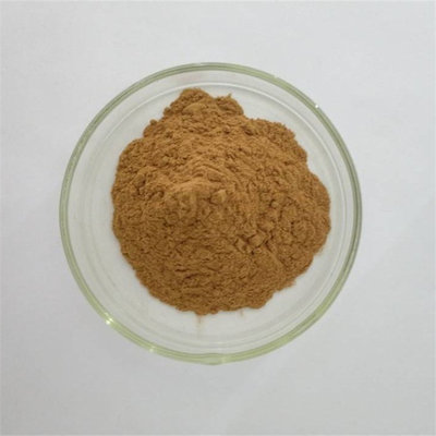Supply nice quality dandelion extract dandelion root extract 5% flavonoids for the health products field supplier