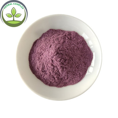 Instant Powder Drink Blackberry Extract Powder With Best Price supplier