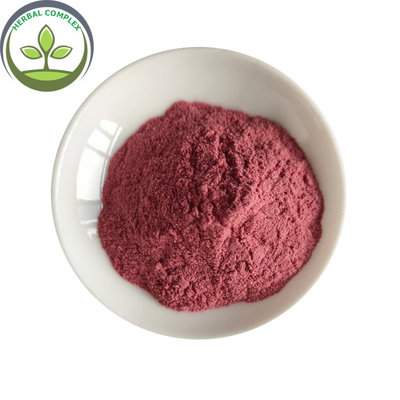 Wholesale Instant Powder Drink  Dried Waxberry In Bulk supplier