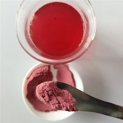 Wholesale Instant Powder Drink  Dried Waxberry In Bulk supplier