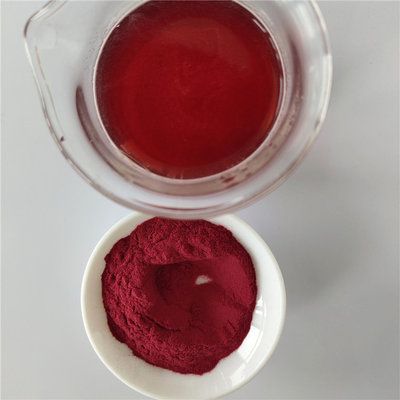 Wholesale Elderberry Powder For Instant Tea Powder supplier