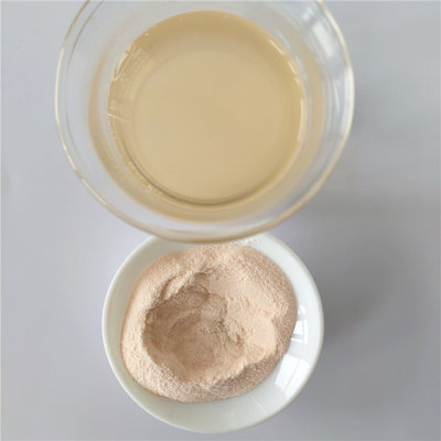Wholesale Carica Papaya Fruit  Juice Powder/Carica Papaya supplier