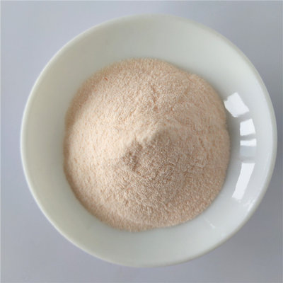 Wholesale Carica Papaya Fruit  Juice Powder/Carica Papaya supplier