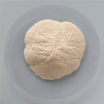 Wholesale Carica Papaya Fruit  Juice Powder/Carica Papaya supplier