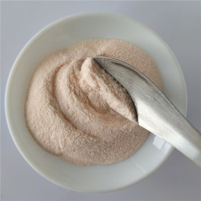 Wholesale Carica Papaya Fruit  Juice Powder/Carica Papaya supplier