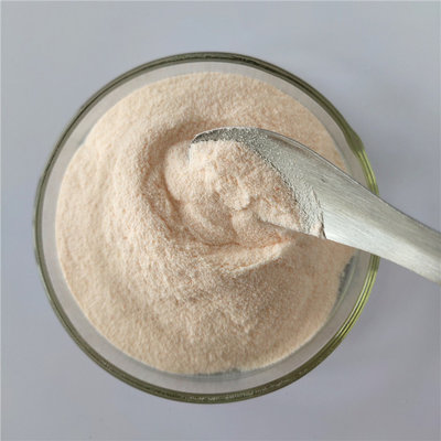 Wholesale Carica Papaya Fruit  Juice Powder/Carica Papaya supplier