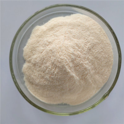 Wholesale Carica Papaya Fruit  Juice Powder/Carica Papaya supplier