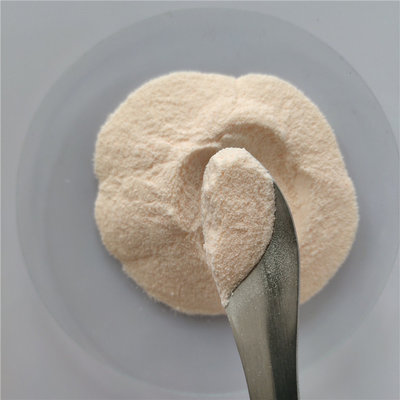 Wholesale Carica Papaya Fruit  Juice Powder/Carica Papaya supplier