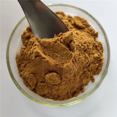 Chinese Herbal Saussurea Involucrata Extract/Snow Lotus Extract supplier