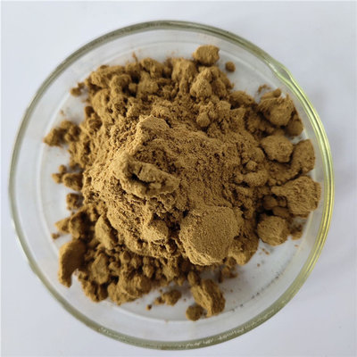Gmp Certificate Belvedere Fruit Extract For Purge supplier