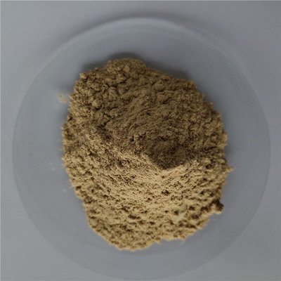 Best Selling Products Codonopsis Pilosula Extract supplier