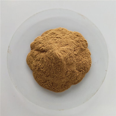 Anti-inflammatory Cortex Phellodendri Extract supplier
