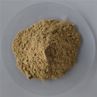 Glossy Privet Fruit Extract For Fatty Liver Care supplier