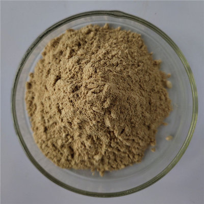 Anti-bacterial Peppermint Extract Halal In Bulk Stock supplier