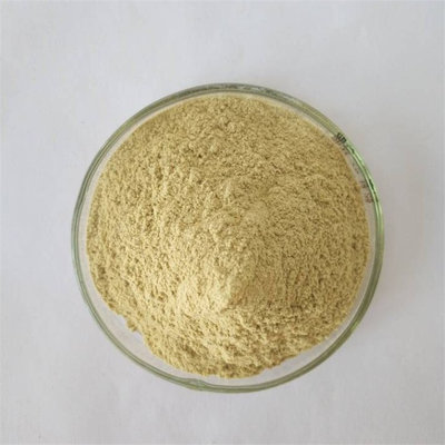 GMP Factory Detoxification Mung Bean Sprout Extract supplier
