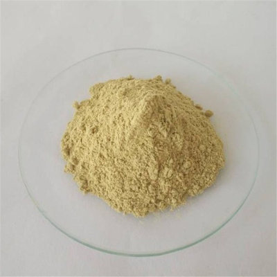 GMP Factory Detoxification Mung Bean Sprout Extract supplier