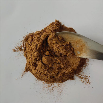 Medicine Grade Purslane Extract For Detoxification supplier