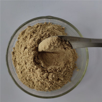 Radix Polygoni Mulitiflori P.E From China Factory supplier