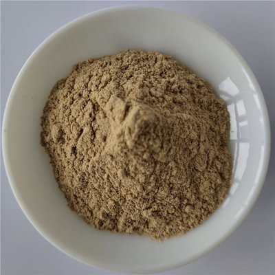 Radix Polygoni Mulitiflori P.E From China Factory supplier