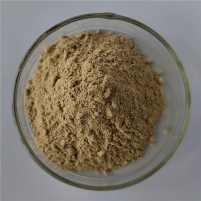 Radix Polygoni Mulitiflori P.E From China Factory supplier