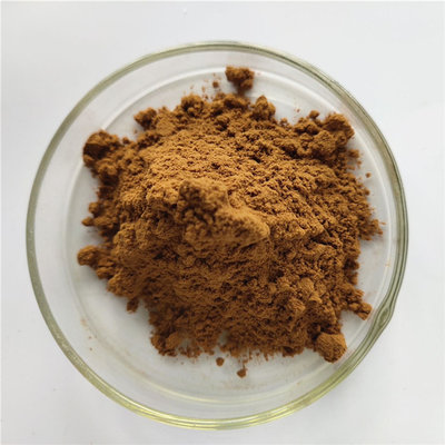 Gmp Sarcandra Glabra Extract For Antirheumatic supplier