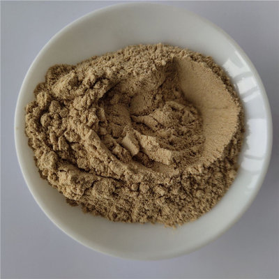 Pharmaceutical Grade White Mustard Extract In Bulk supplier