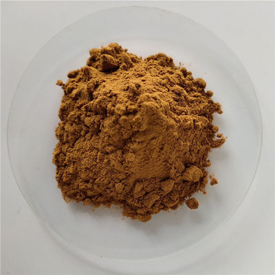 Villous Amomum Fruit Extract/villous amomum fruit supplier