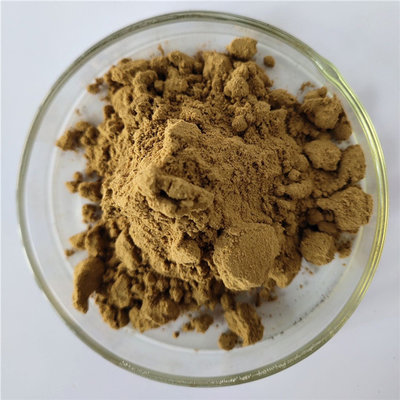 Medicine Grader Red Onion Extract From Seed supplier