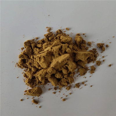 Medicine Grade immune anti-fatigue isatis root extract for capsule supplier