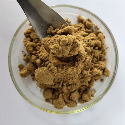 Medicine Grade immune anti-fatigue isatis root extract for capsule supplier