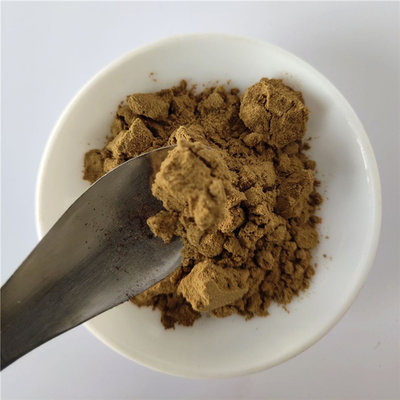 Medicine Grade immune anti-fatigue isatis root extract for capsule supplier