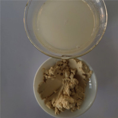 pure natural anti cancer evodia rutaecarpa extract in bulk supplier