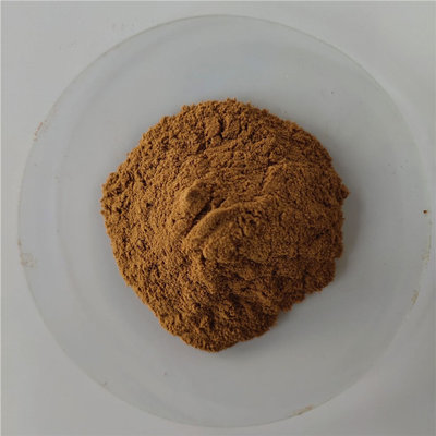 Hot Sale energy supplement Broussonetia papyrifera extract with best price supplier