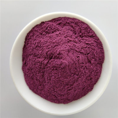 Blackcurrant Extract For Immune Anti-fatigue supplier