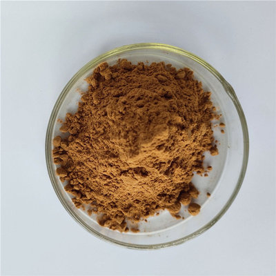 Brunellae Spica P.E/runella vulgaris extract supplier