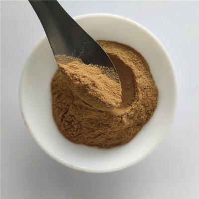 Gmp Certificate Manufacturer Fennel Seed Extract supplier