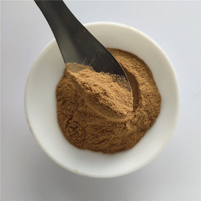 Gmp Certificate Manufacturer Fennel Seed Extract supplier
