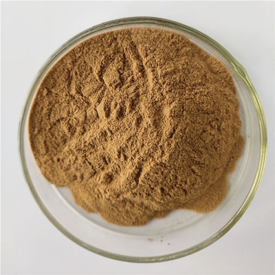 Gmp Certificate Manufacturer Fennel Seed Extract supplier