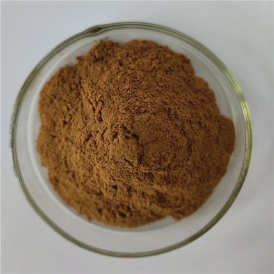 Wholesale 10:1 Yerba Mate Extract In Bulk Stock supplier