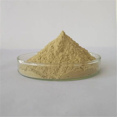 Weight Loss Products Antirheumatic Ginger Powder Dried supplier