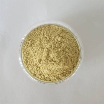Weight Loss Products Antirheumatic Ginger Powder Dried supplier