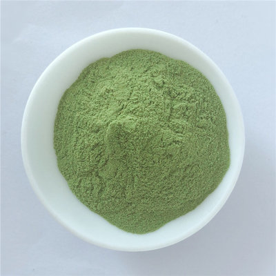 In Bulk Stock Pharmaceutical Grade Mulberry Leaf Powder supplier