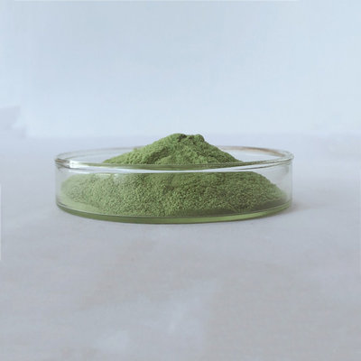 In Bulk Stock Pharmaceutical Grade Mulberry Leaf Powder supplier