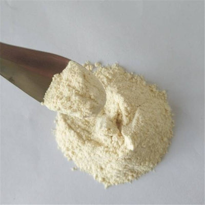 Pharmaceutical Grade Anti Cancer Galangal Powder supplier
