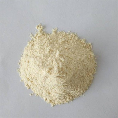 Pharmaceutical Grade Anti Cancer Galangal Powder supplier