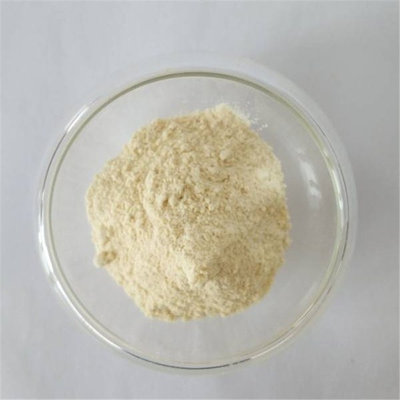Pharmaceutical Grade Anti Cancer Galangal Powder supplier